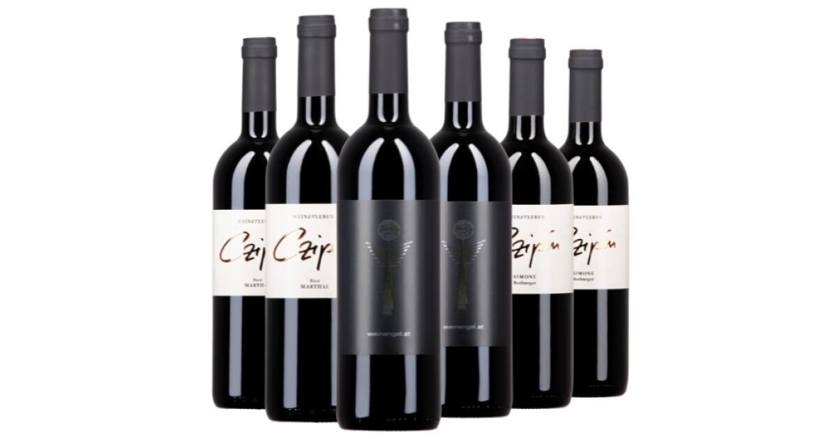 Verkostungspaket ROT Spannende Weine zum Vorteilspreis